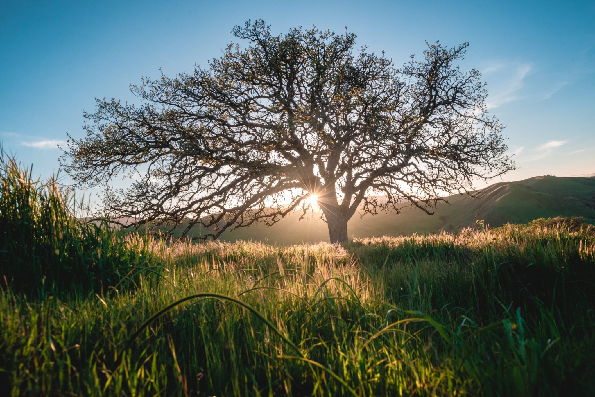 Home - Paicines Ranch