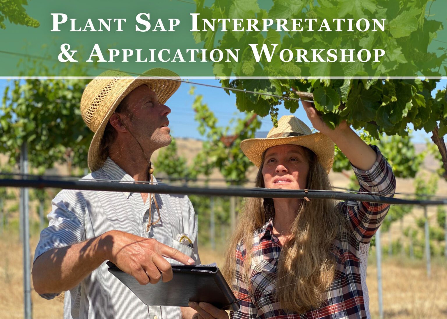 Plant Sap Interpretation & Application Workshop - Paicines Ranch