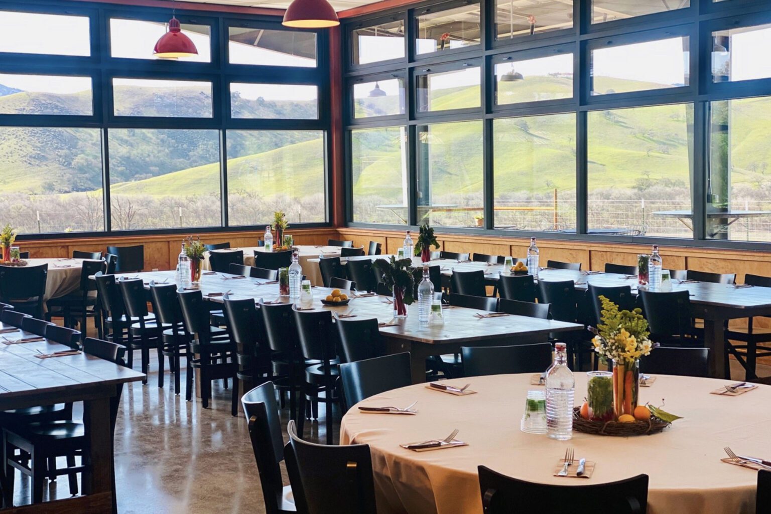 Experiences - Paicines Ranch