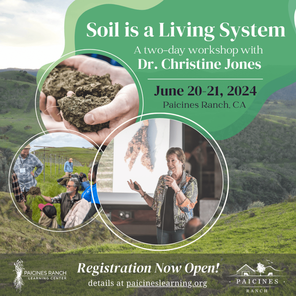 Home - Paicines Ranch