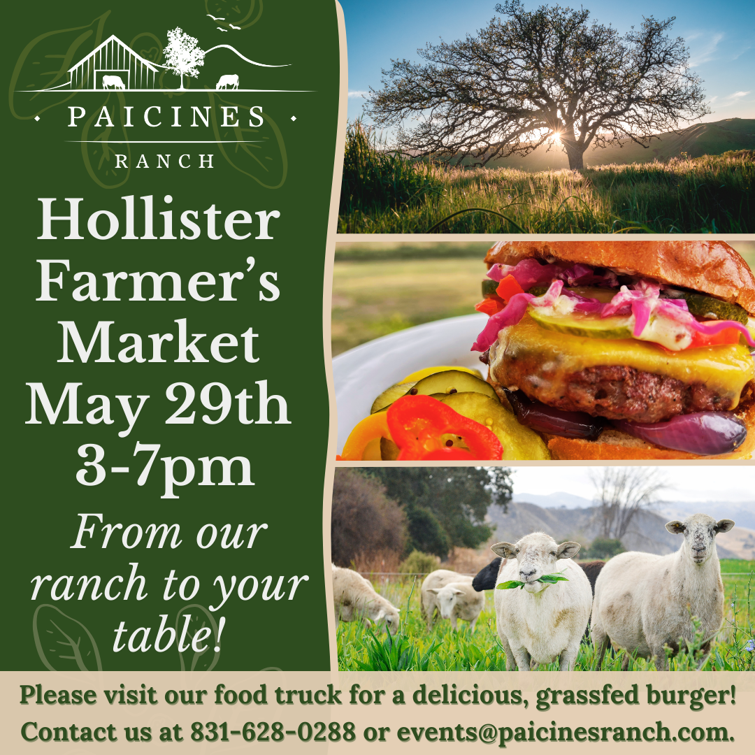 Home - Paicines Ranch